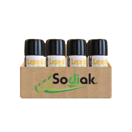 p3d.in - LEPECID SPRAY x 400 ML