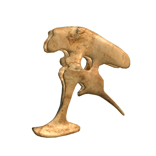 p3d.in - Saurischian Dinosaur Hip (T-Rex)